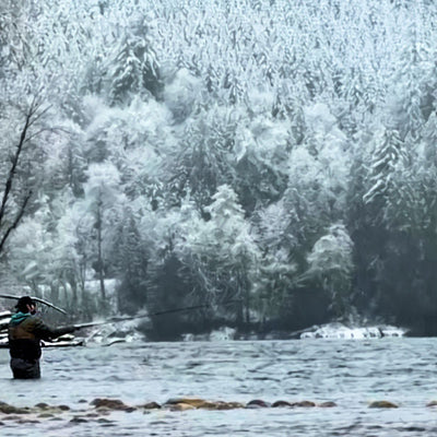 Pacific Fly Fishers | Fly Fishing and Fly Tying Pro Shop and Catalog