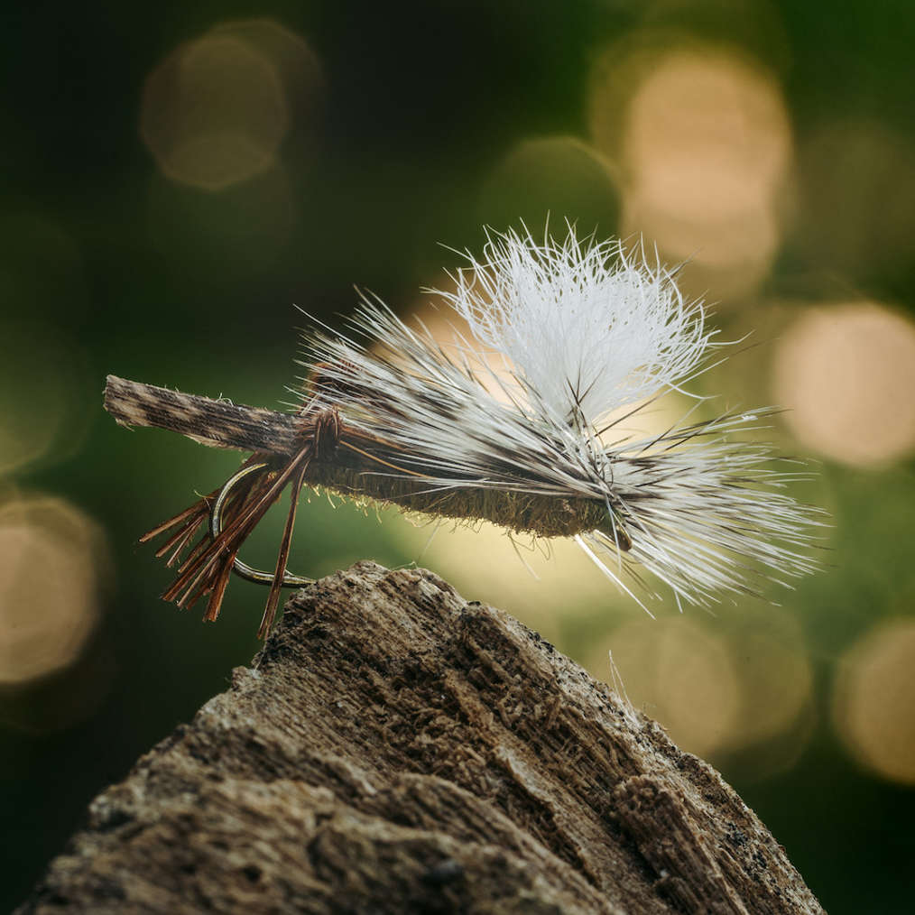 Tiemco TMC 5212 Hooks | Pacific Fly Fishers