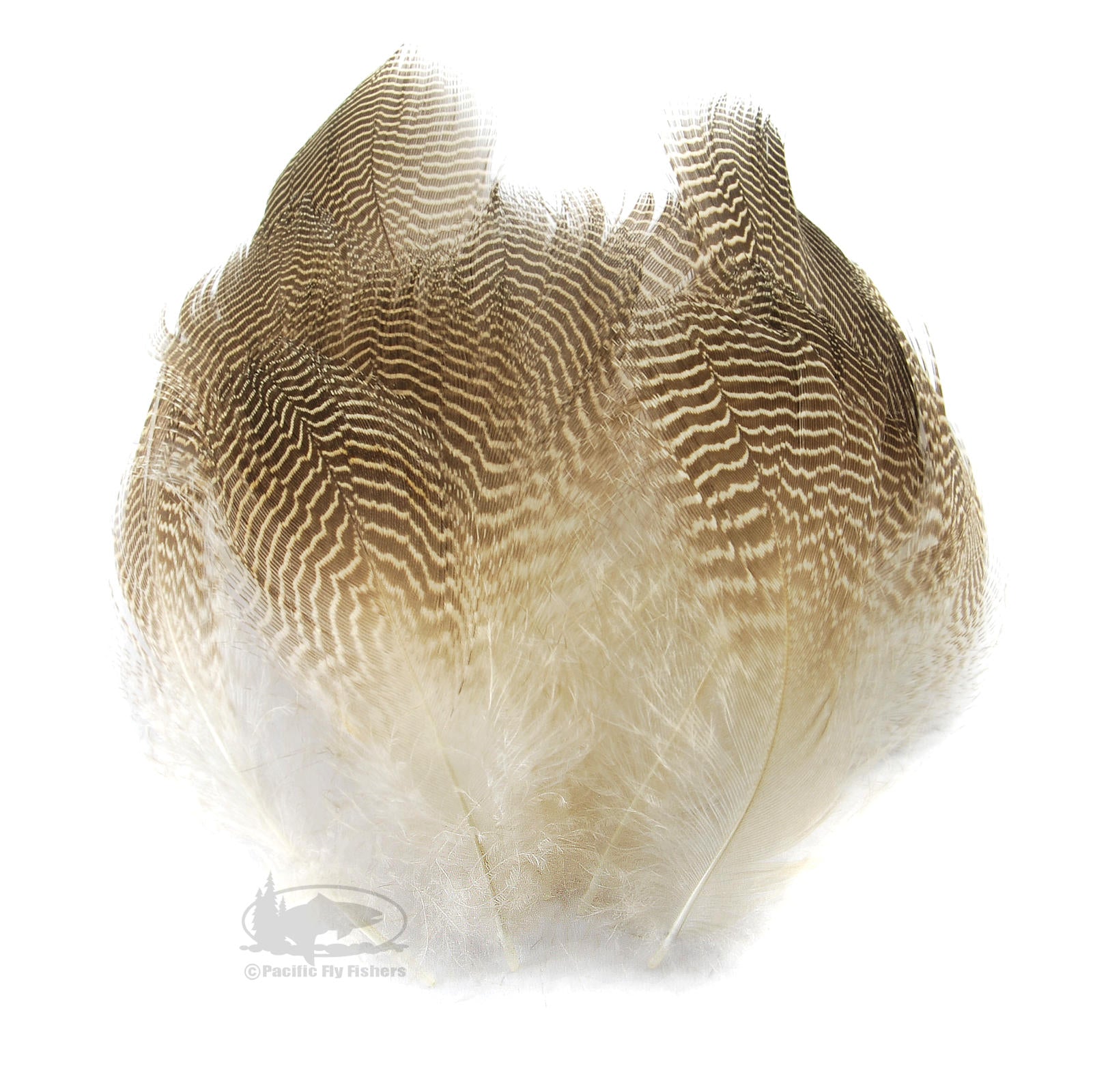 Gadwall Barred Flank Feathers | Pacific Fly Fishers