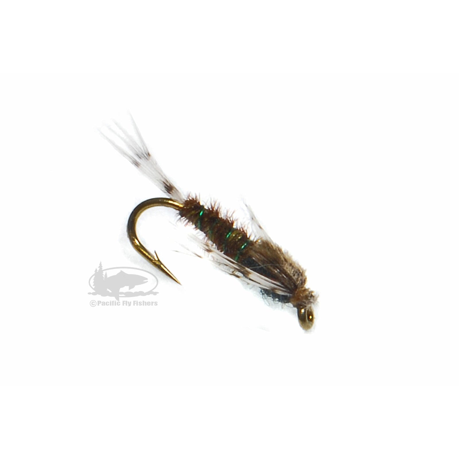 Baetis Nymph Pacific Fly Fishers