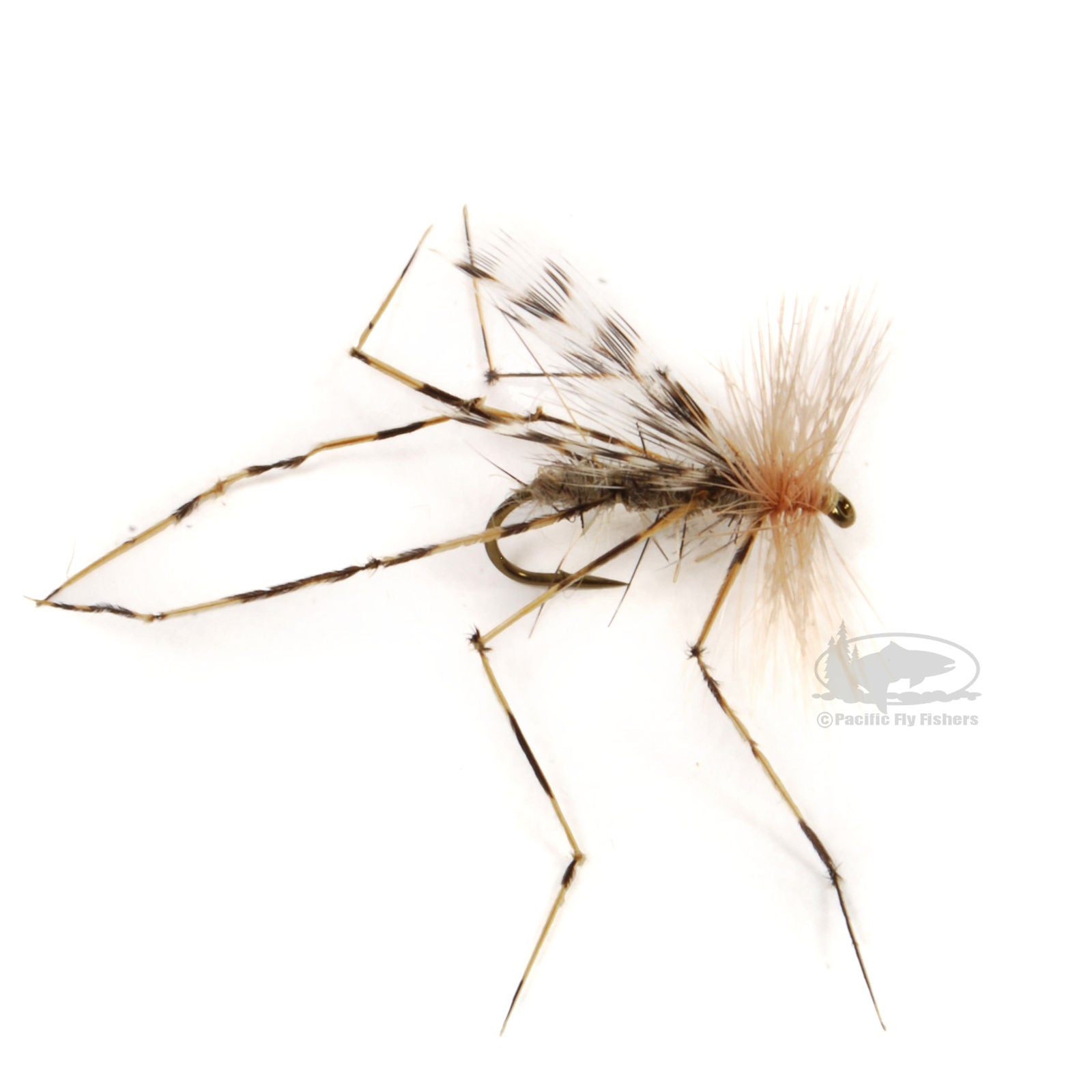 Crane Fly | Pacific Fly Fishers