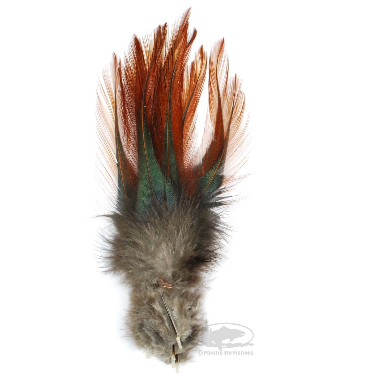 Gallo de Leon Saddle Feathers | Pacific Fly Fishers