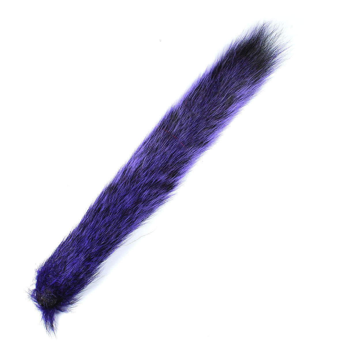 Gray Squirrel Tail