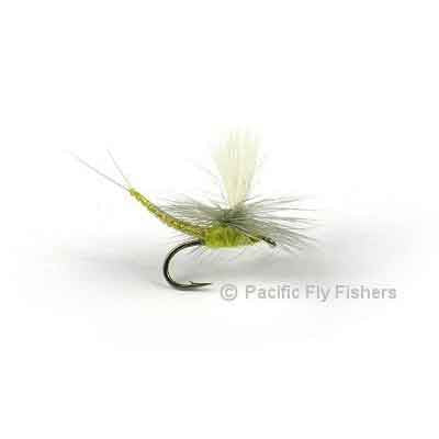 Parachute Extended Body PMD | Pacific Fly Fishers
